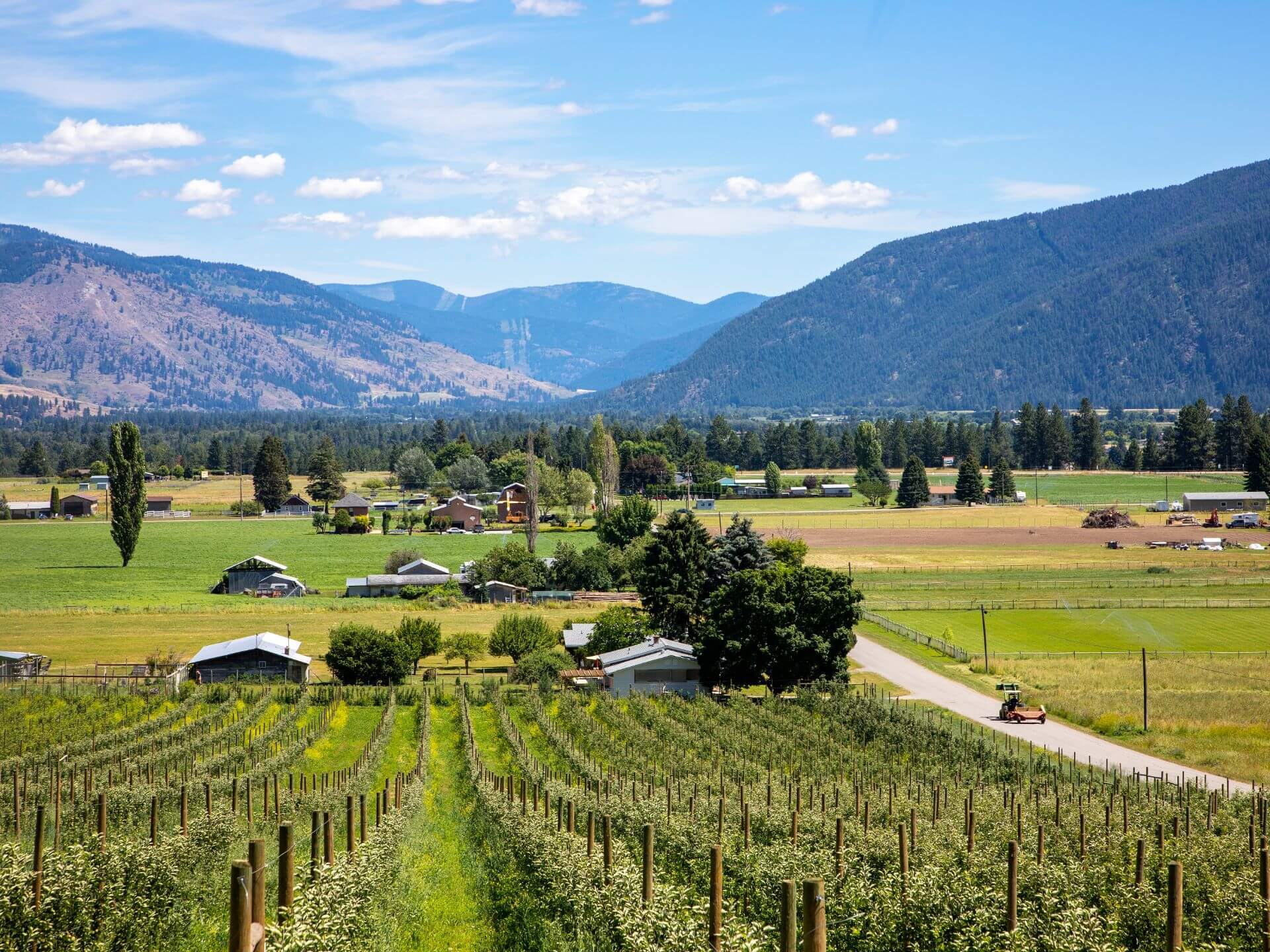 7 Affirmations for 7 Generations | Boundary Country & TOTA BC